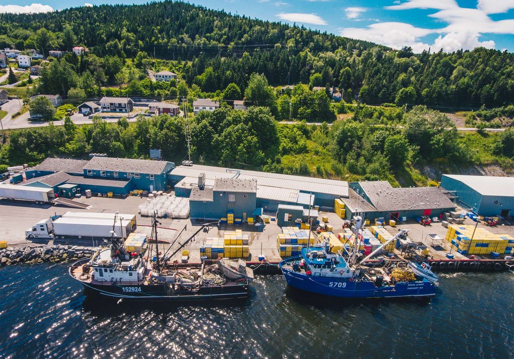 Standards | Barry Group Inc