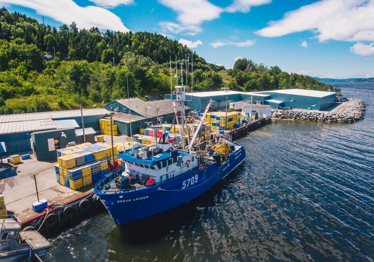 About | Barry Group Inc